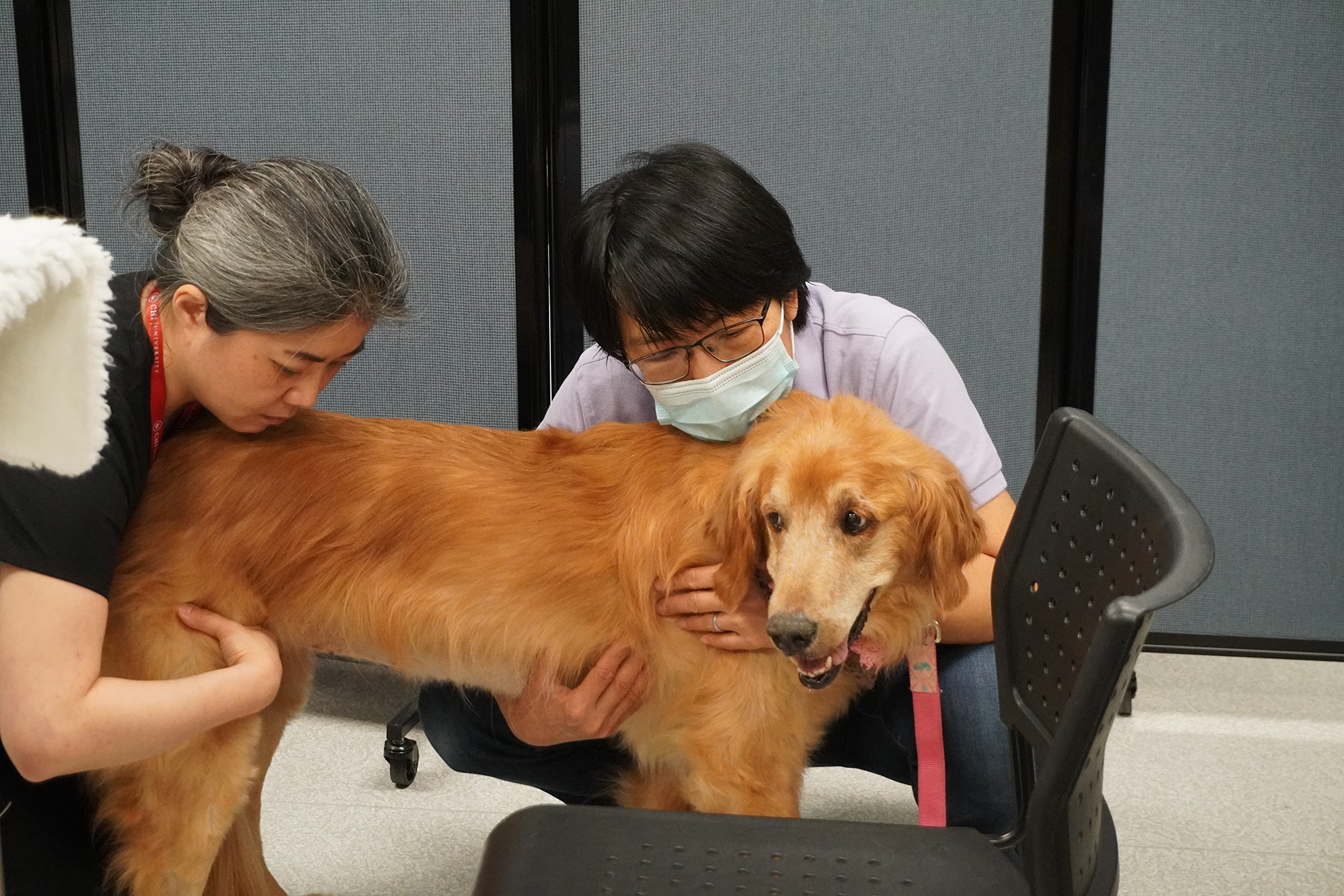 2026 SA CVA Course | Center for Continuing Professional Education (CCPE)